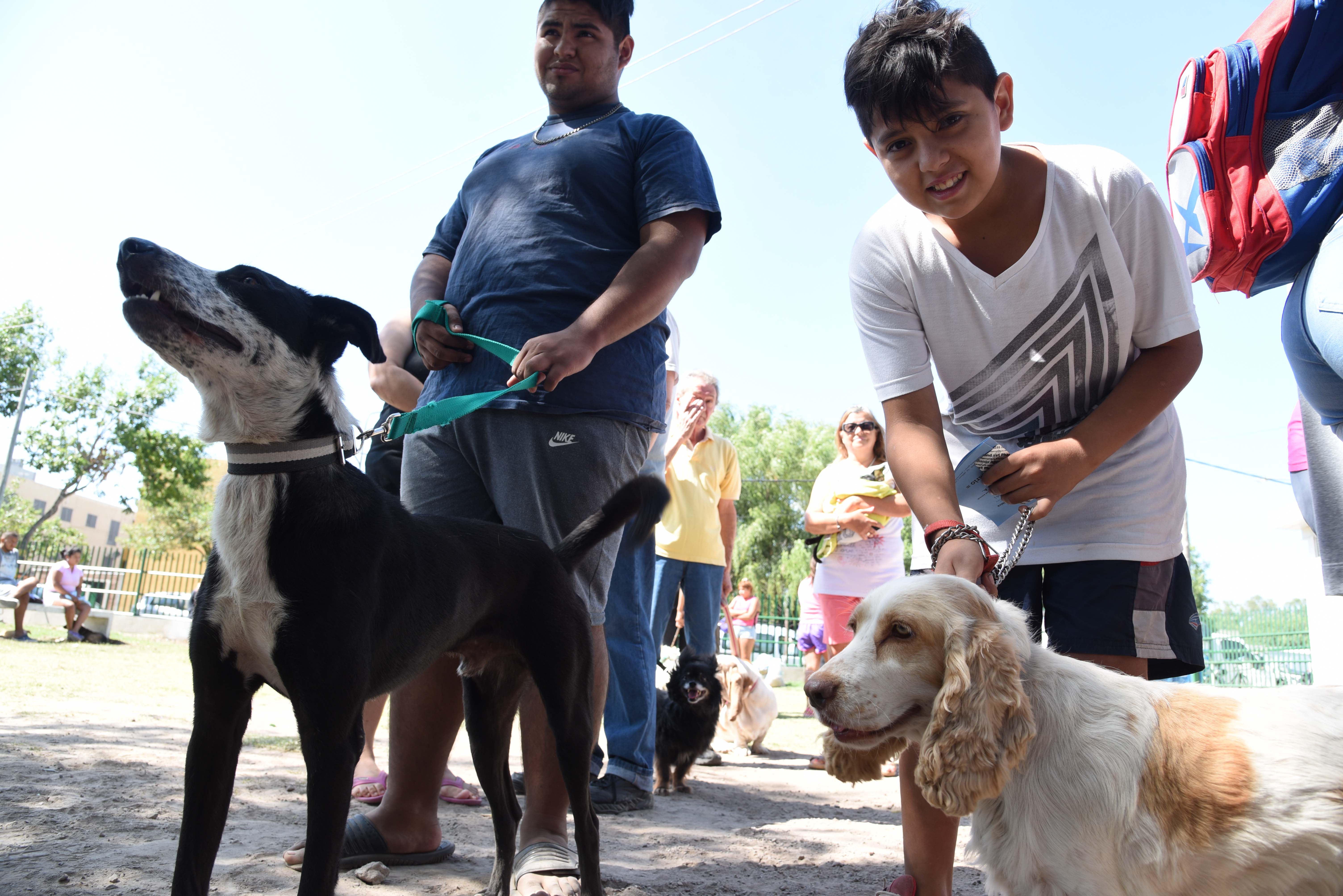 Noticias Mr La Municipalidad Presentó Una Guía Para La Tenencia